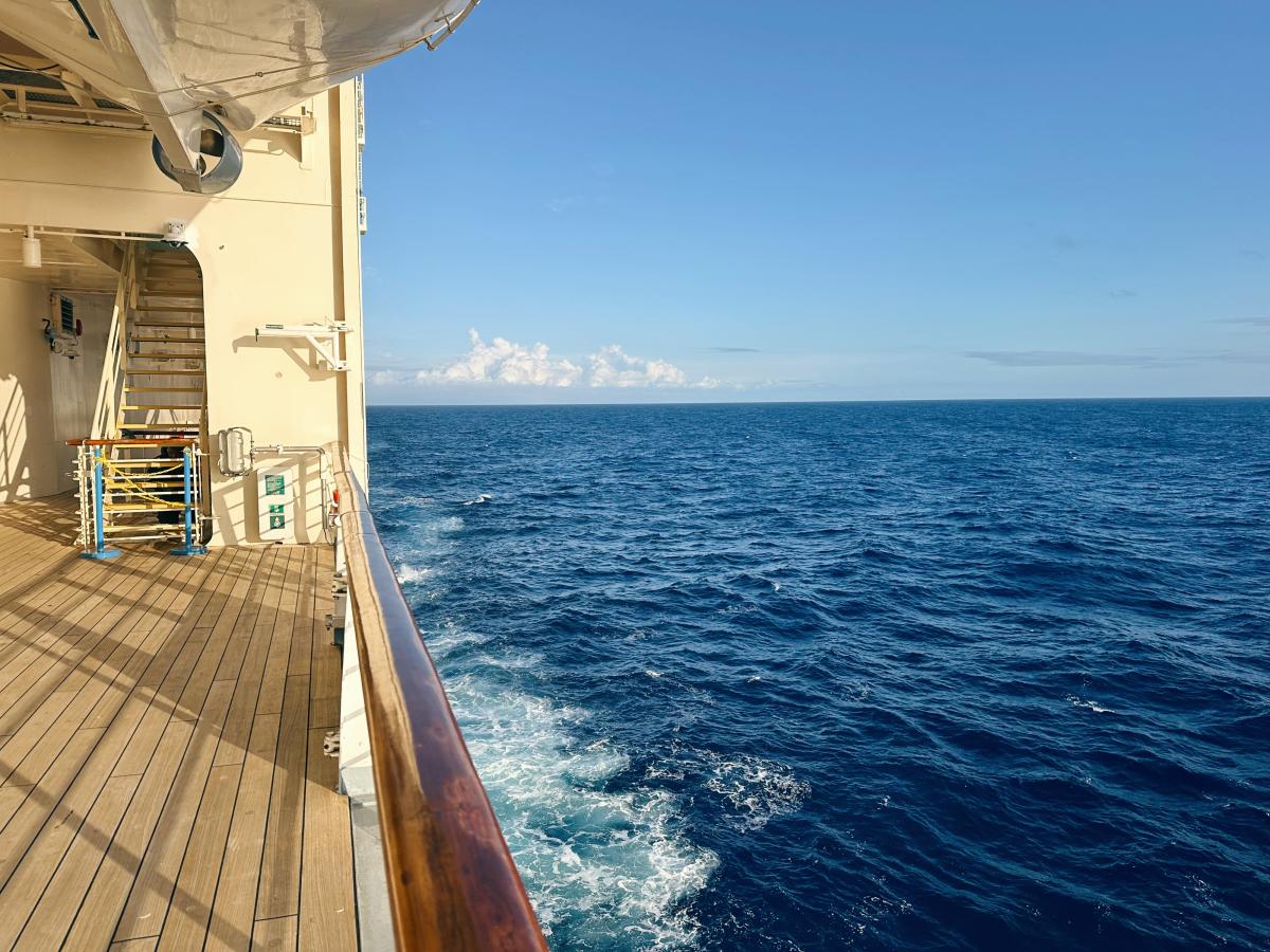 11 people have gone overboard from cruise ships this year. The one ...