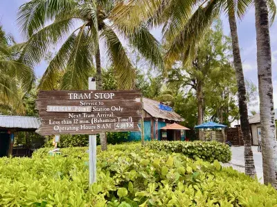 10 things Disney got right about their private island Castaway Cay ...